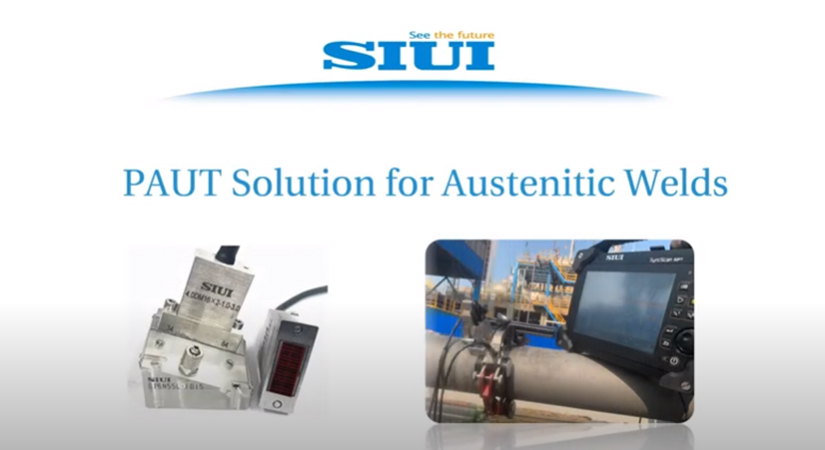 Dual Matrix Array Probe for Plate Welds - OnestopNDT